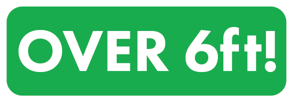 Big Fun Summer School Pool | Poolmaster